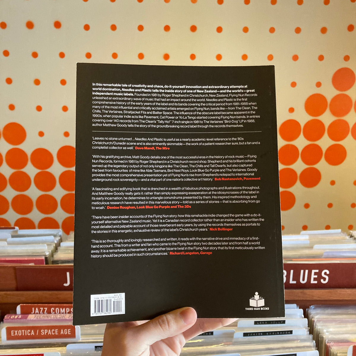 MATTHEW GOODY - NEEDLES AND PLASTIC: FLYING NUN RECORDS, 1981-1988 (BO ...