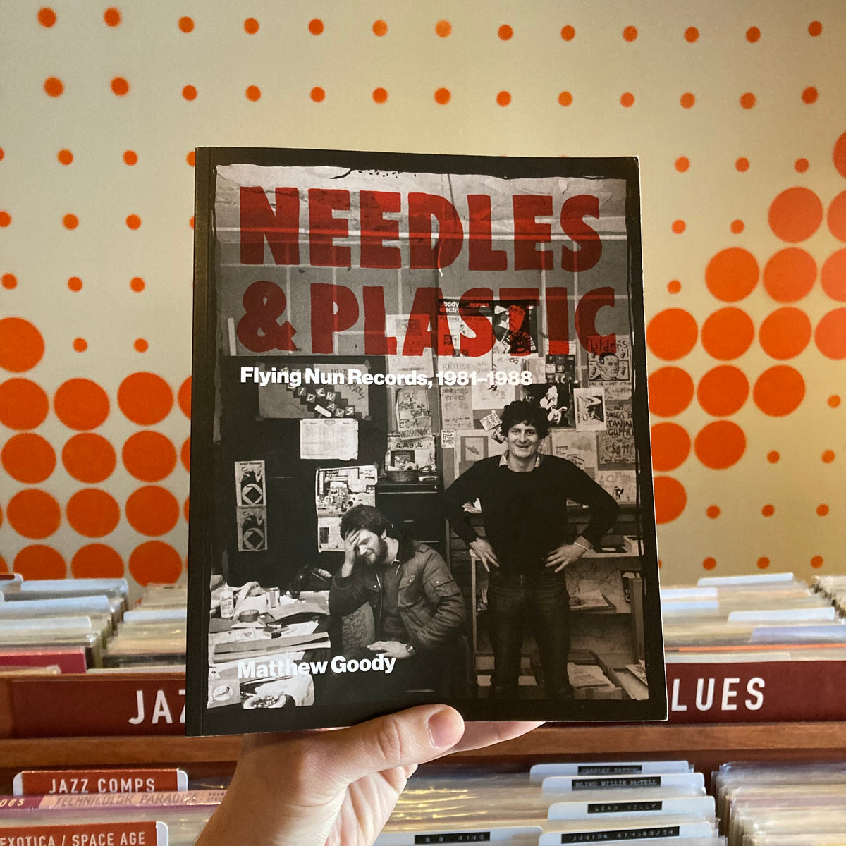 MATTHEW GOODY - NEEDLES AND PLASTIC: FLYING NUN RECORDS, 1981-1988 (BO ...